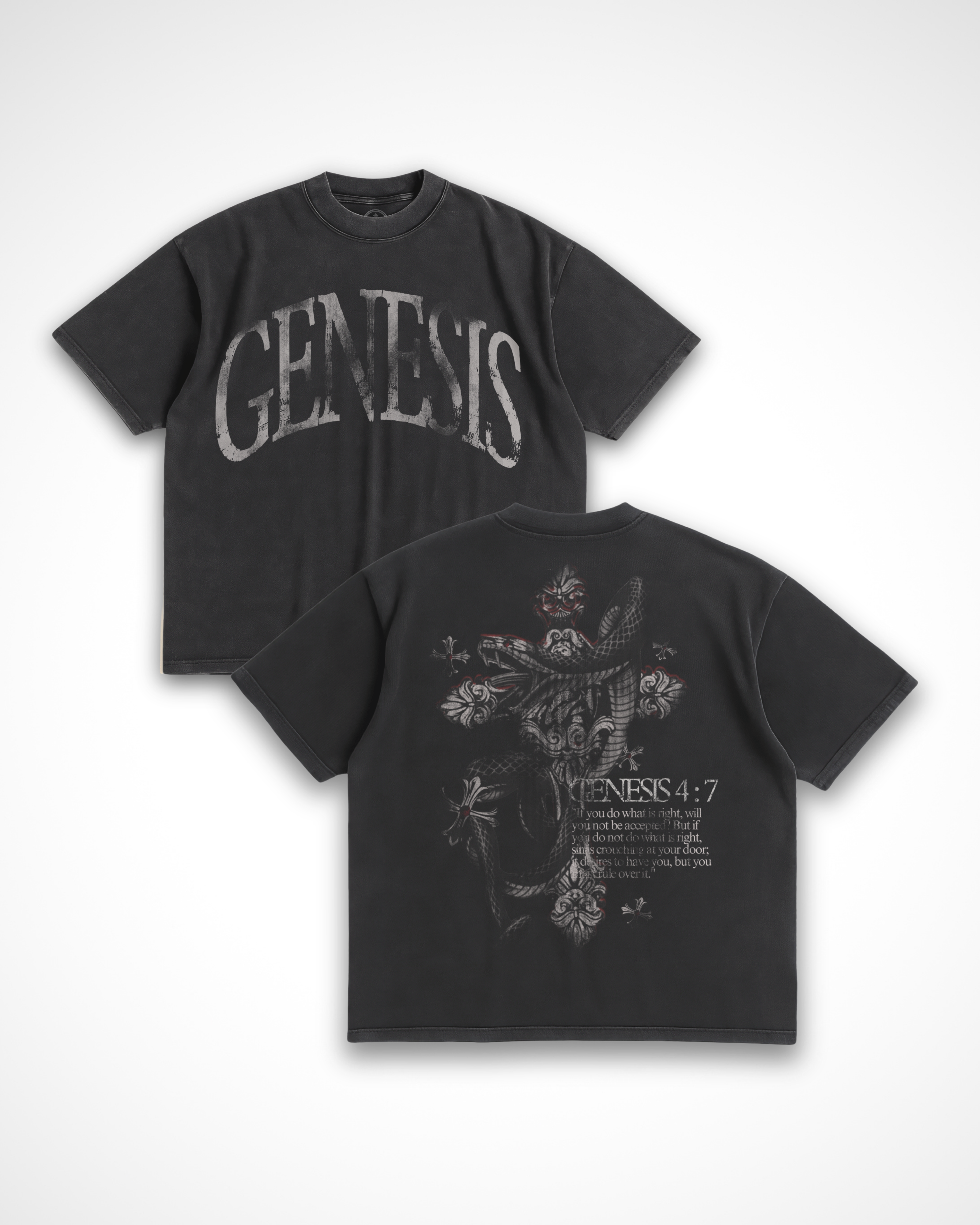 Genesis Graphic Tee – Story of Genesis