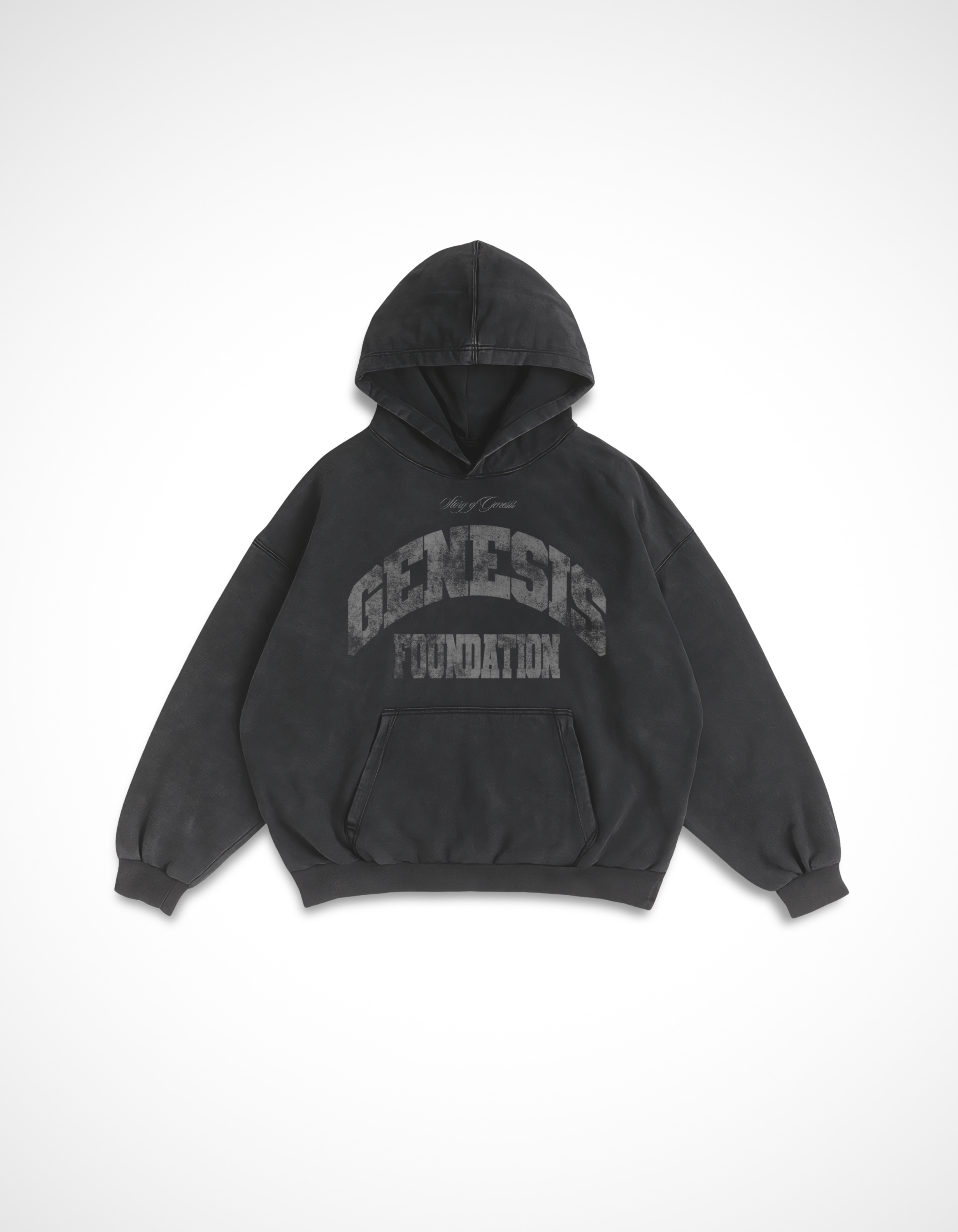 Genesis Foundation Heavyweight Hoodie – Story of Genesis